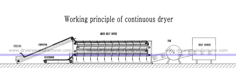 Black Pepper Continuous Dryer